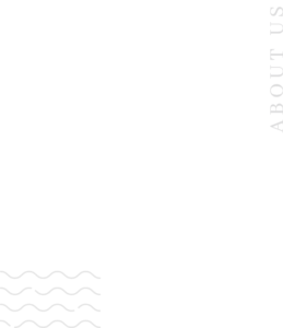 LaVar Hair Designs - The Best Hair Design Salon in New York